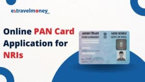 How Can NRIs Apply for a PAN Card Online - Complete Guide