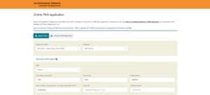 How Can NRIs Apply for a PAN Card Online - Complete Guide